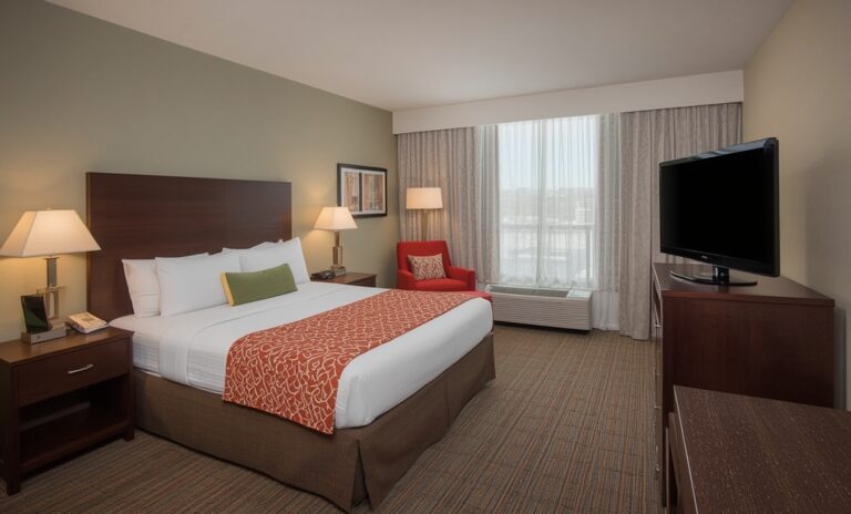 Cheap Pet Friendly Hotels: 9 Budget Stays You’ll Love | CoddlePets
